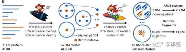 蛋白结构生物信息学的造极：AlphaFold DB的结构挖掘 - 知乎