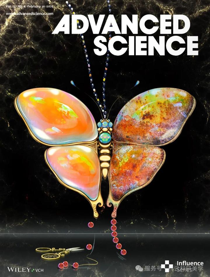 《Advanced Science》封面设计全过程分享 | Vol.12 No.6 - 知乎