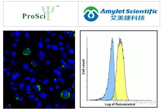 ProSci LAG3抗体：改善体外研究，助力癌症免疫治疗 - 知乎