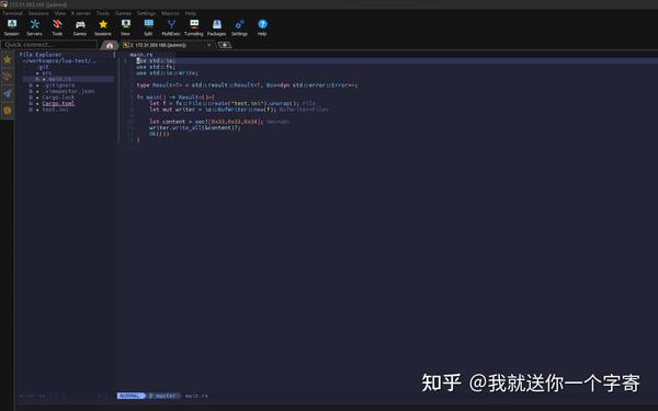 从零开始：使用Neovim搭建Rust开发IDE - 知乎