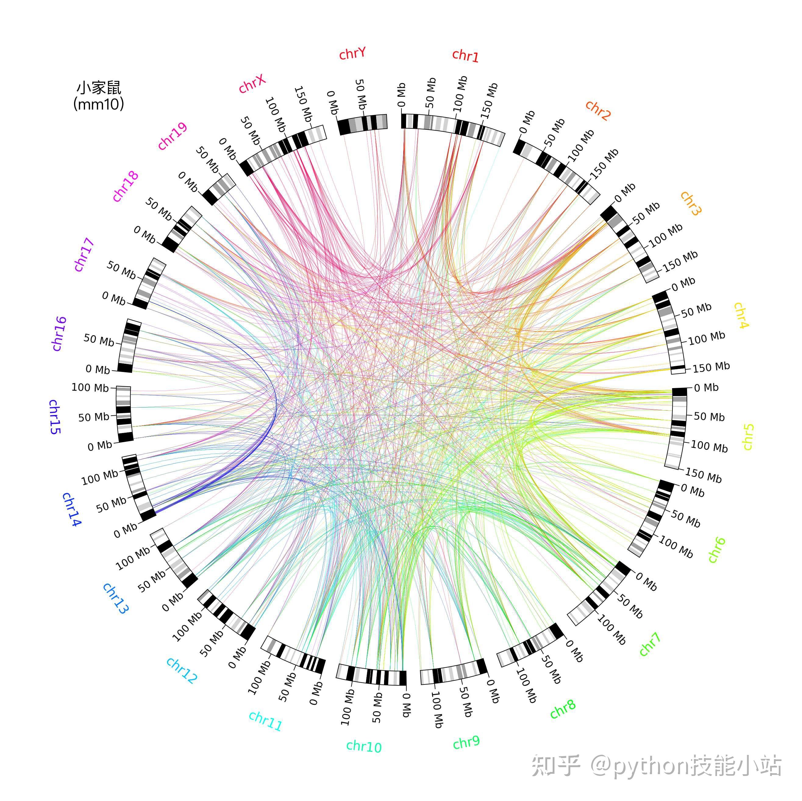 Circos图怎么画？（终）请看VCR - 知乎