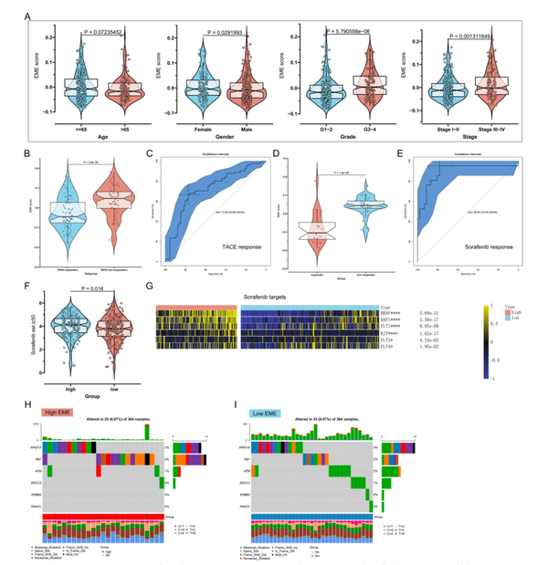 Mol Can ｜ 根据5mC/m6A多组学EME打分预测肝癌进展和潜在靶点 - 知乎