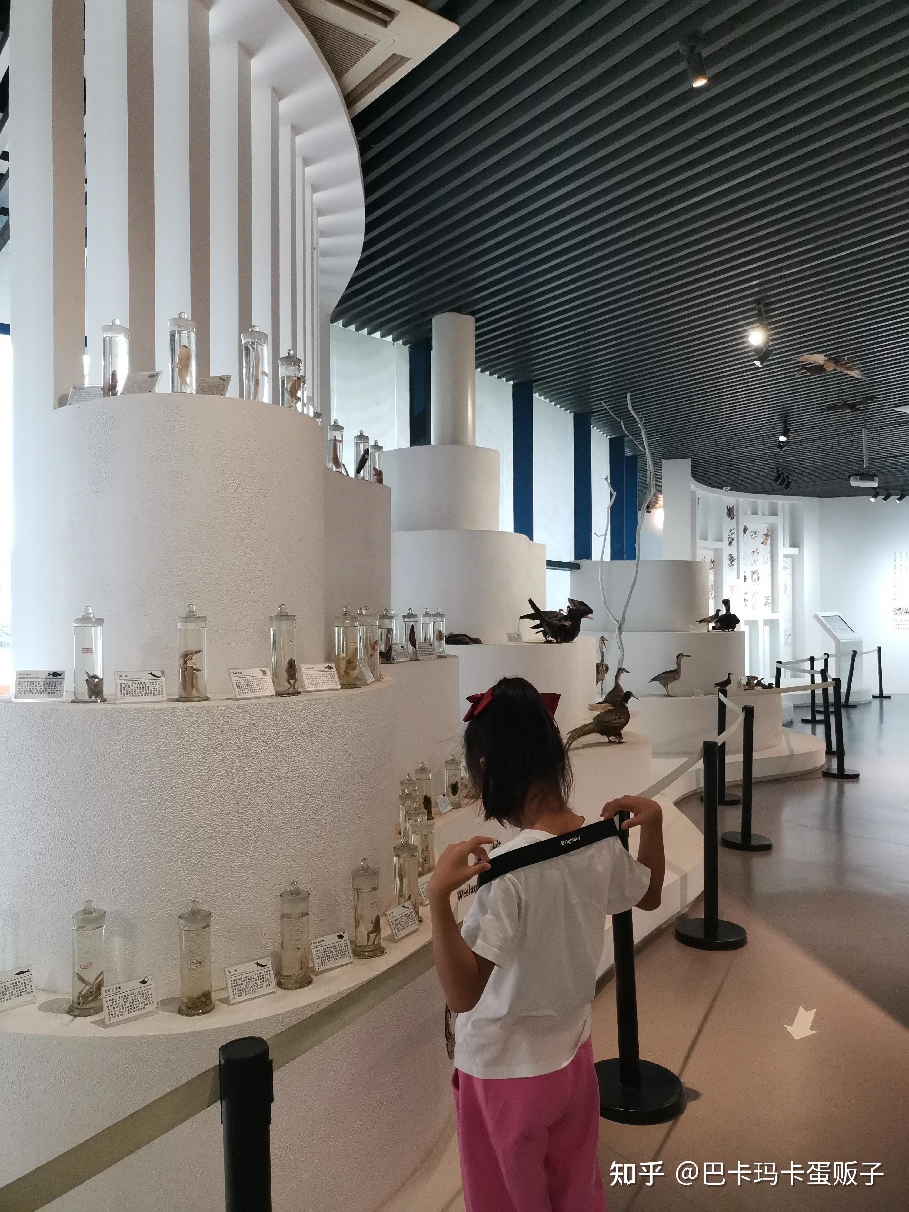 202310-01凤凰岛 - 知乎