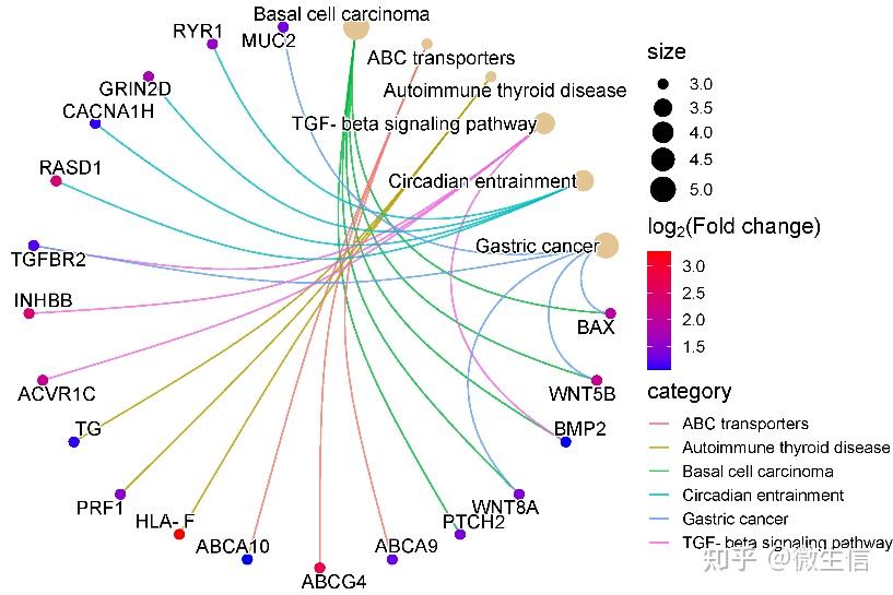 在线绘制clusterprofiler KEGG，GO富集分析结果自定义条目cnet图 - 知乎