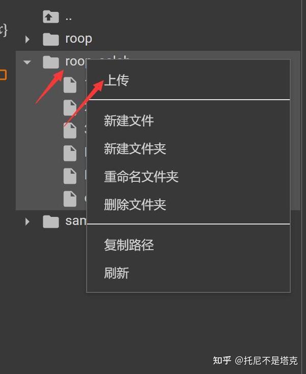 Roop：单图，视频，一键换脸，Colab脚本使用方法！ - 知乎