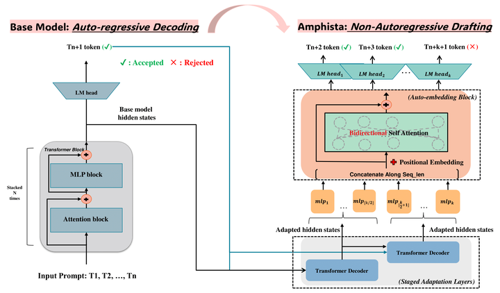 Amphista: Accelerate LLM Inference with Bi-directional Multiple ...