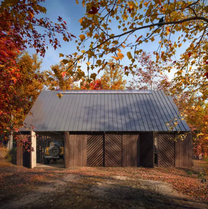 【插件】3ds Max强大的森林树木植物插件Forest Pack Pro - 知乎