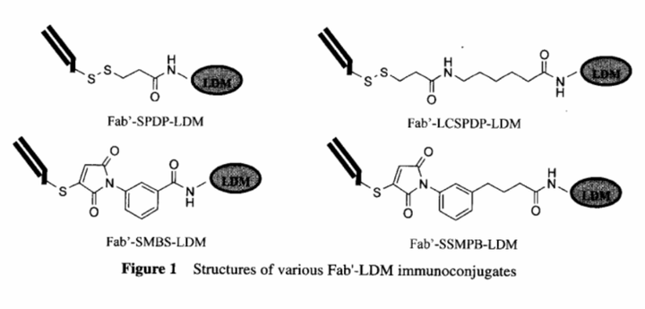 APC-SPDP APC-SPDP/SPDP-RPE-NDV/SPDP-SPA蛋白/Sulfo-LC-SPDP-Tn - 知乎
