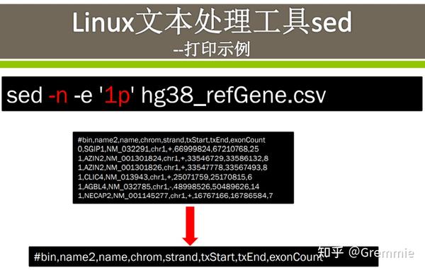 Linux文本处理工具(awk,sed,grep等) - 知乎