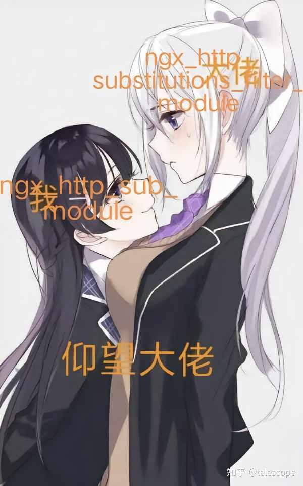 比ngx_http_sub_module更强大！ngx_http_substitutions_filter_module如何帮助你进行内容替换 - 知乎