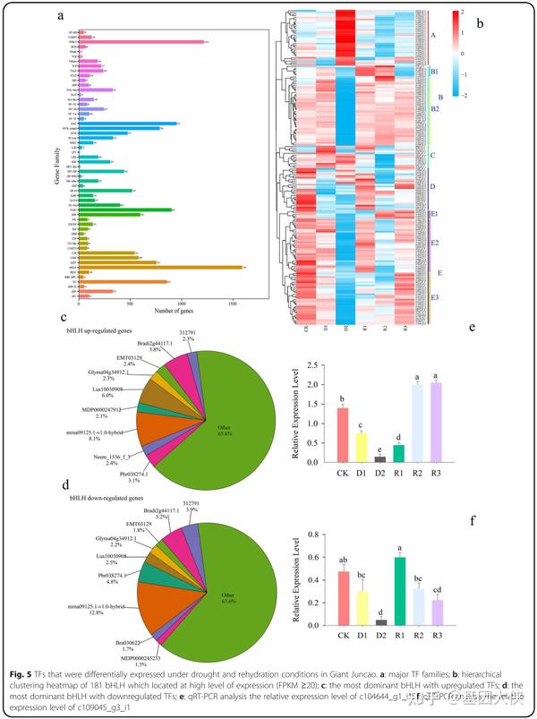 WGCNA分析如何提高转录组文章档次？ - 知乎