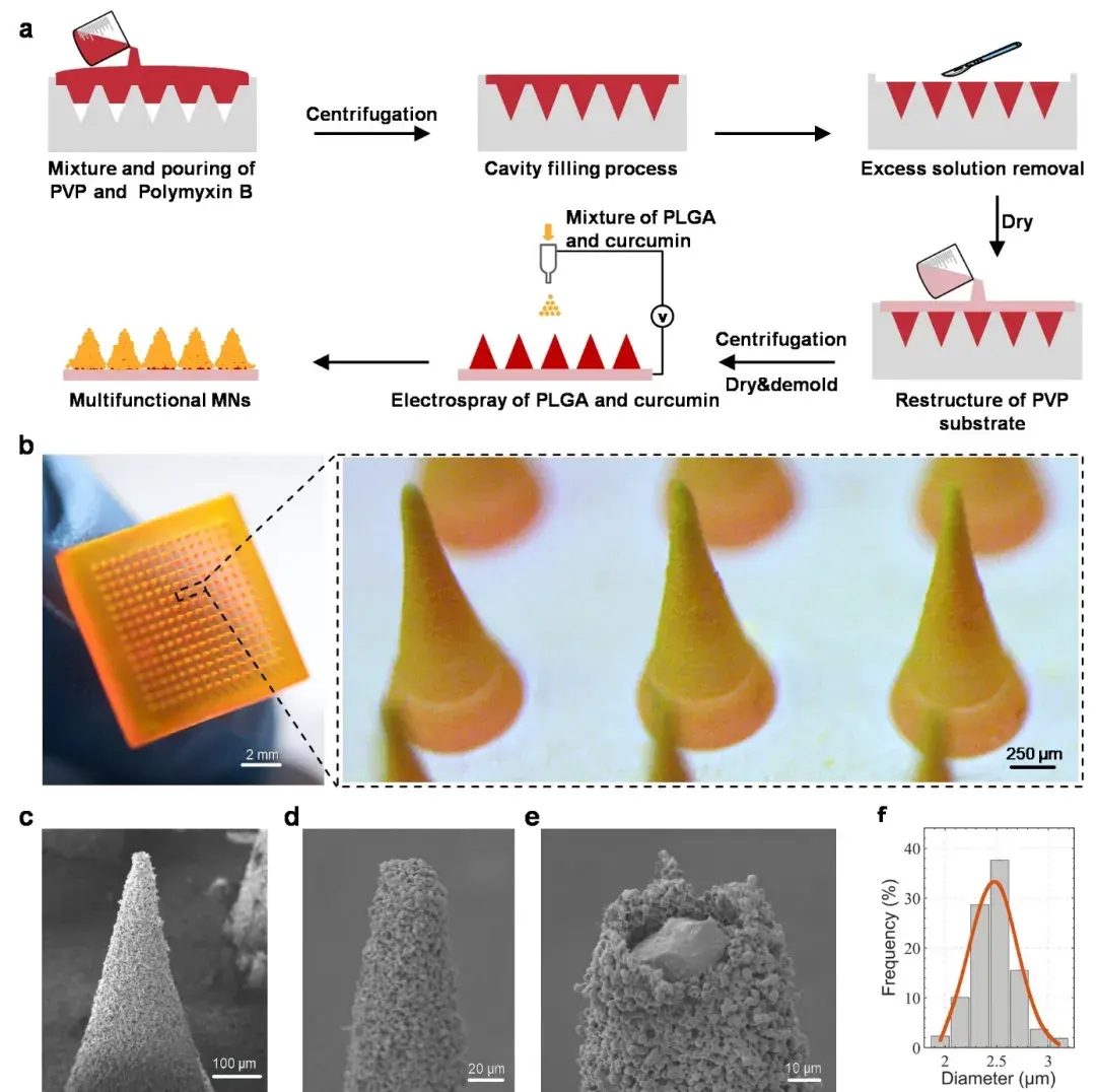 中国科学技术大学《CEJ》: 双层给药微针用于治疗感染伤口_化工仪器网