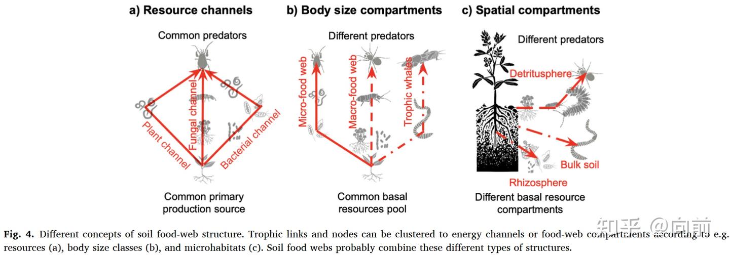 EJSB：土壤食物网研究的多维度 - 知乎