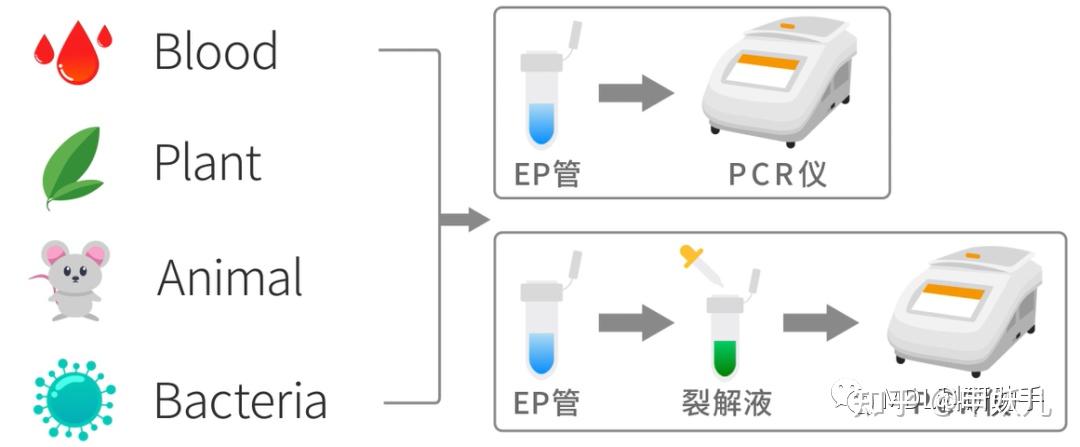 干货分享 | 常用PCR技术及原理 - 知乎