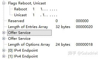 SOME/IP SD OfferService报文解析 - 知乎