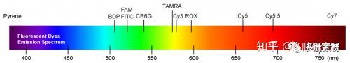 菁染料Cy7|Cy5|Cy5.5|Cy3荧光标记介绍 - 知乎