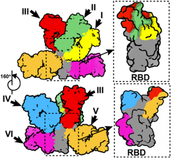 用实验数据告诉你，新冠疫苗第三针是否有用 - 知乎