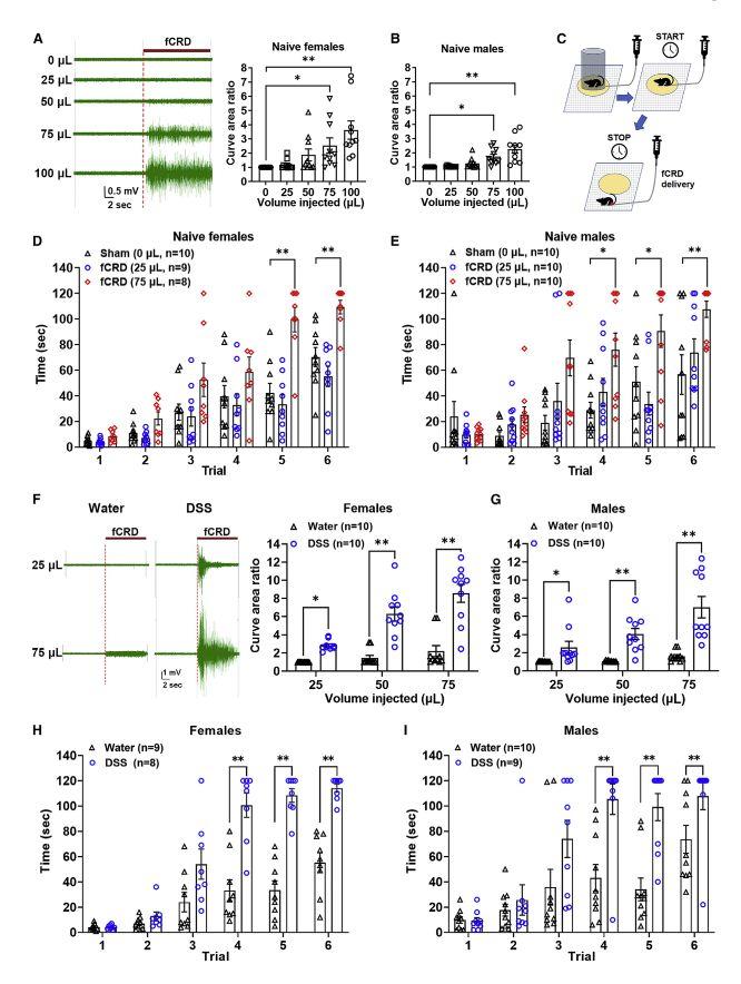 Neuron：马秋富团队报道选择性地传递情感性内脏疼痛的脊髓通路 - 知乎