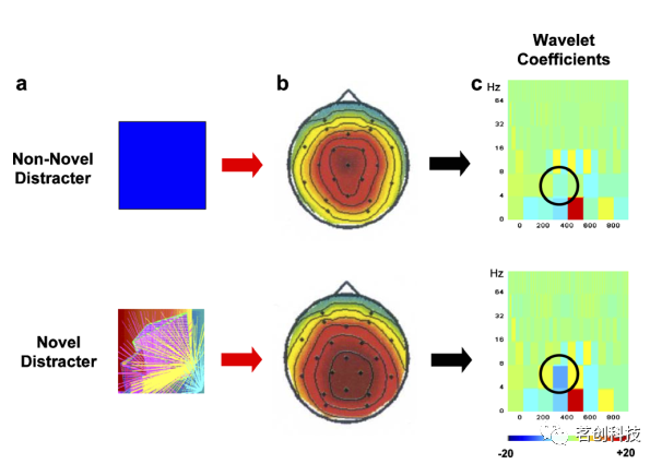 经典再读 | P3a与P3b的整合理论 - 知乎