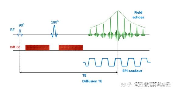 IRIS：多激发SE-EPI扩散（弥散）序列 - 知乎