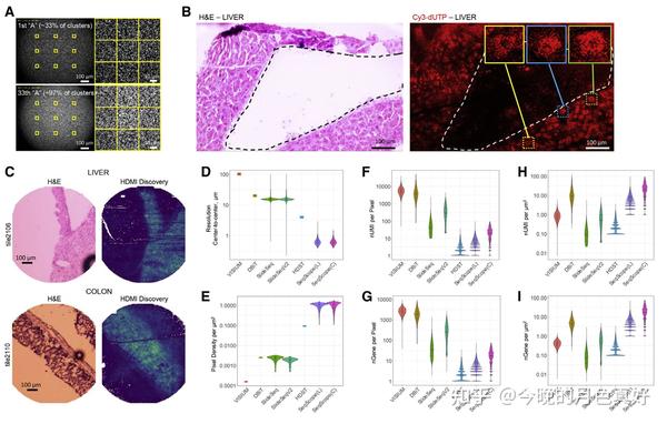 单细胞文章打卡99---Seq-Scope - 知乎