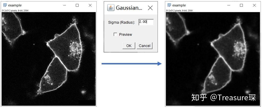 ImageJ实用教程——细胞膜荧光强度检测(定量分析篇) - 知乎