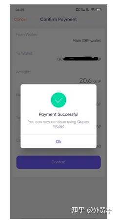 【2023保姆级别教程】Quppy激活Wise详细教程 Wise账户注册申请开户、验证、入金全套教程 - 知乎