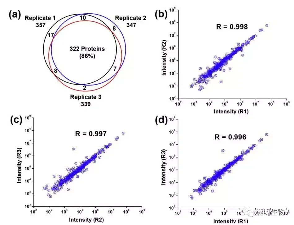 让你知道学会DIA技术是一种什么体验？ - 知乎