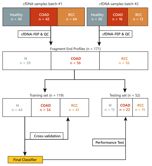 Molecular Cancer | 癌症检测新方向——cfDNA片段末端分析 - 知乎