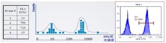 FlowJo流式数据分析基础—常见术语 - 知乎
