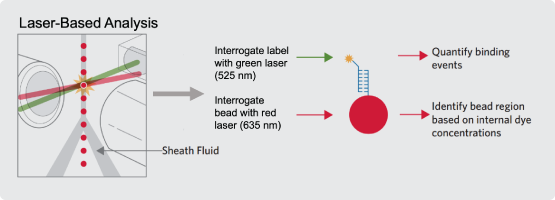 基于LBA的Luminex和MSD技术在药物研发中的应用 - 知乎