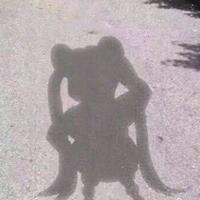 pytorch-Error: Expected more than 1 value per channel when training-模型训练报错 - 知乎