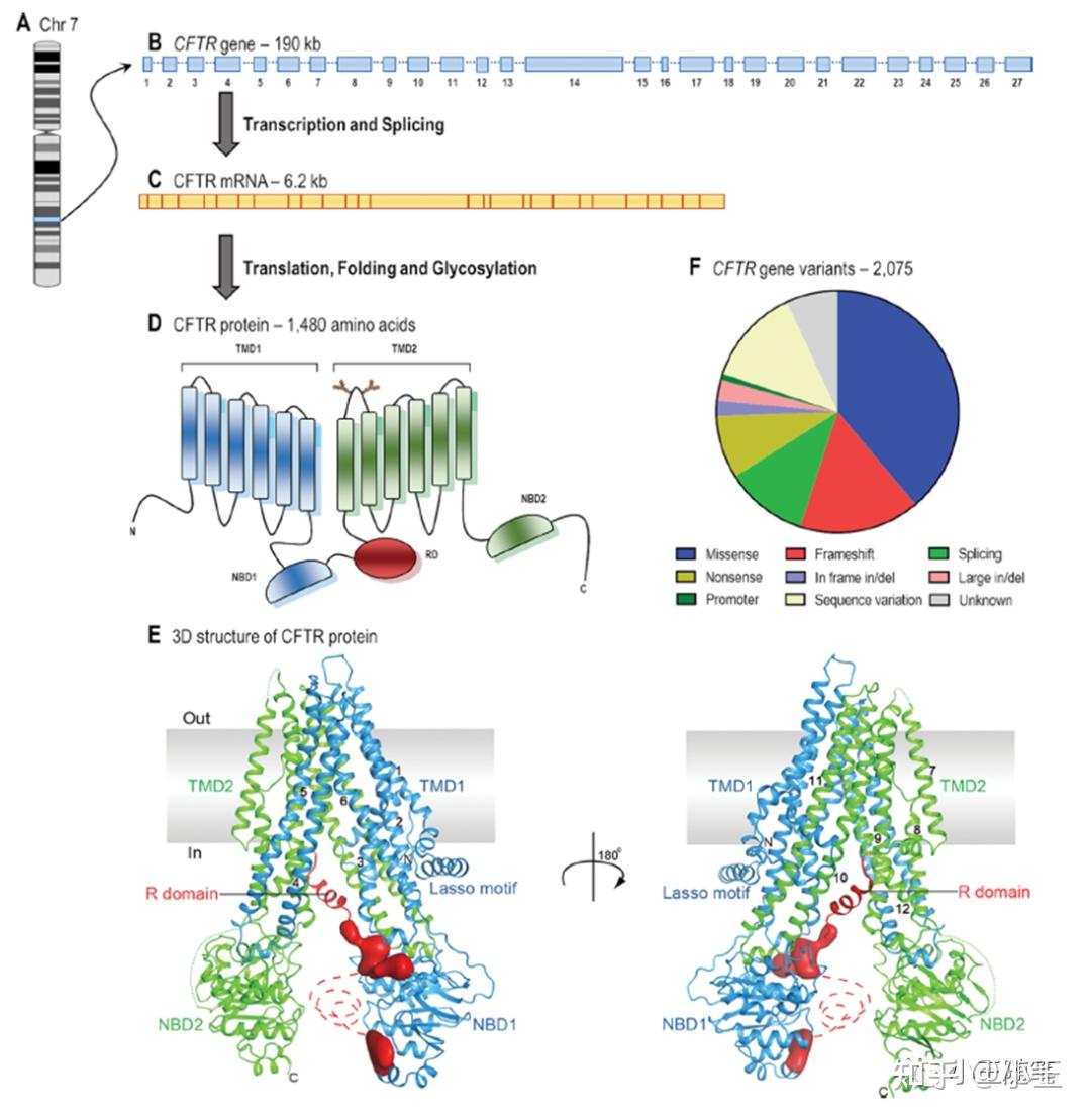 快评：AlphaMissense的第一个测评 - 知乎