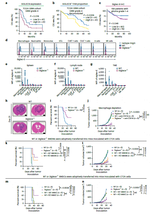 项目文章IF=22.7 | 巨噬细胞免疫检查点Siglec-9限制T细胞激活的胶质瘤治疗新策略 - 知乎