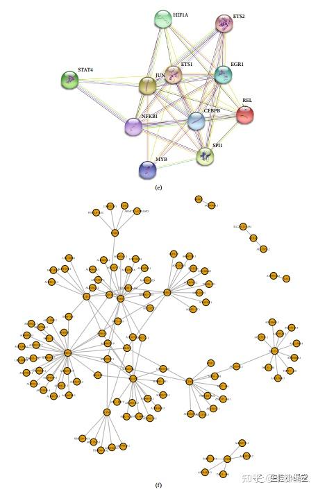 最新7 非肿瘤纯生信，单细胞结合bulk 知乎