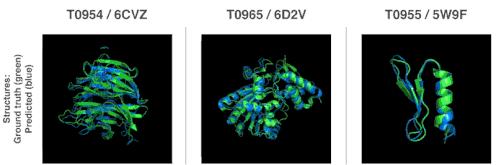 如何看待 AlphaFold 在蛋白质结构预测领域的成功？ - 知乎