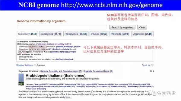 生信软件系列 - NCBI使用 - 知乎
