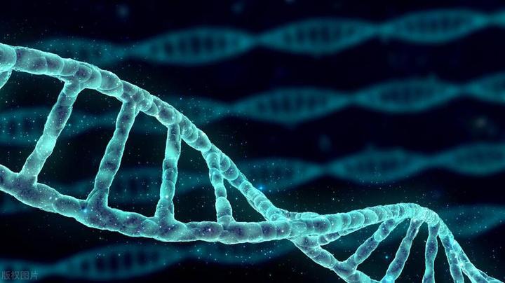 Nature顶刊: CRISPR Screen筛选鉴定癌症免疫治疗靶点CD300ld - 知乎