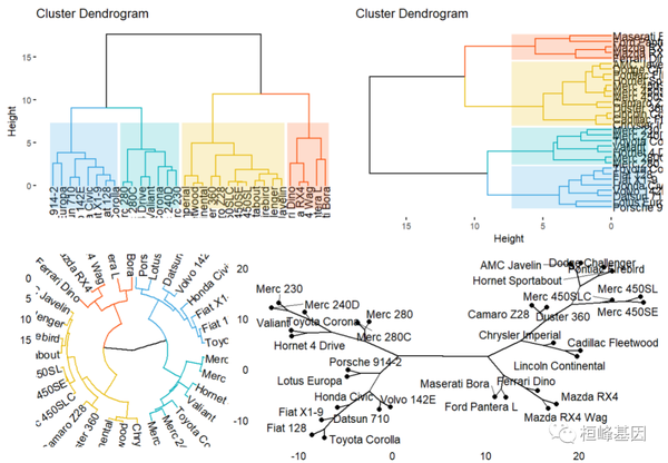 FigDraw 16. SCI 文章绘图之树形图(Dendrogram) - 知乎