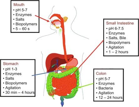 【自用笔记】ADME/生物药剂学的实验参考方案与基础原理知识总结 - 知乎
