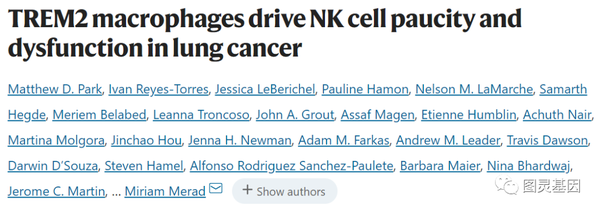 Nat Immu | 巨噬细胞抑制肺癌中NK细胞的募集和激活 - 知乎