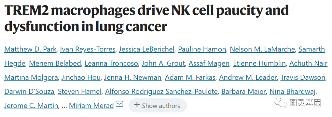 Nat Immu | 巨噬细胞抑制肺癌中NK细胞的募集和激活 - 知乎