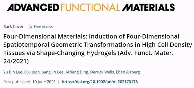 《Adv. Funct. Mater.》4D水凝胶来了篇背封面 - 知乎
