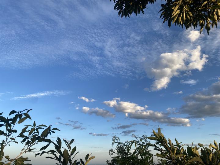 【法院判例】答复政府信息不存在,行政机关应履行法定告知或者说明理由义务 知乎