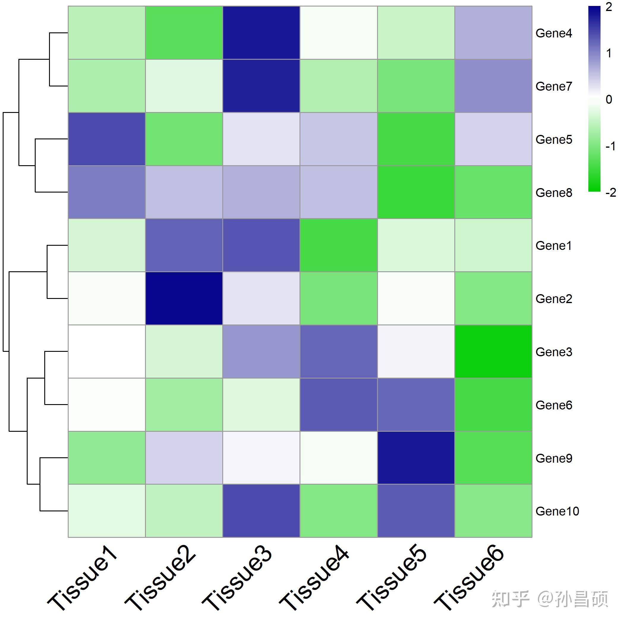R包pheatmap绘图（数据Z-scor标准化） - 知乎