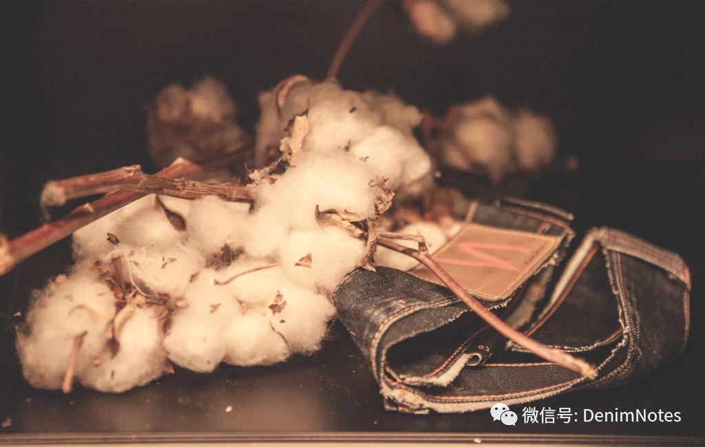 原牛入门Nudie Jeans，100%有机棉制成，优秀剪裁与漂亮落色并存 - 知乎