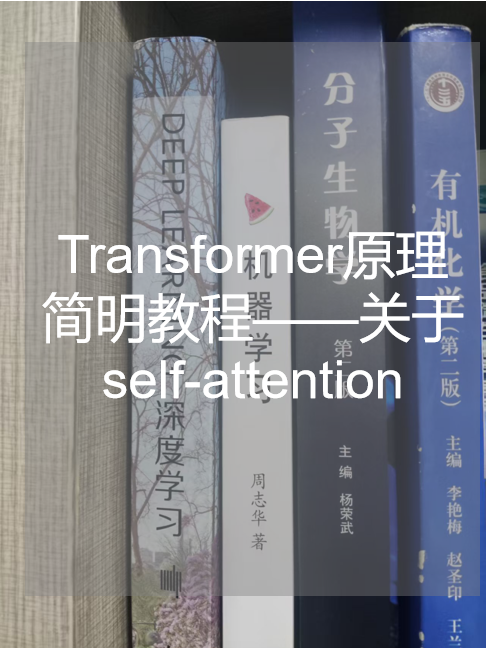 Transformer架构基本原理简明教程——主要关注自注意力机制 - 知乎
