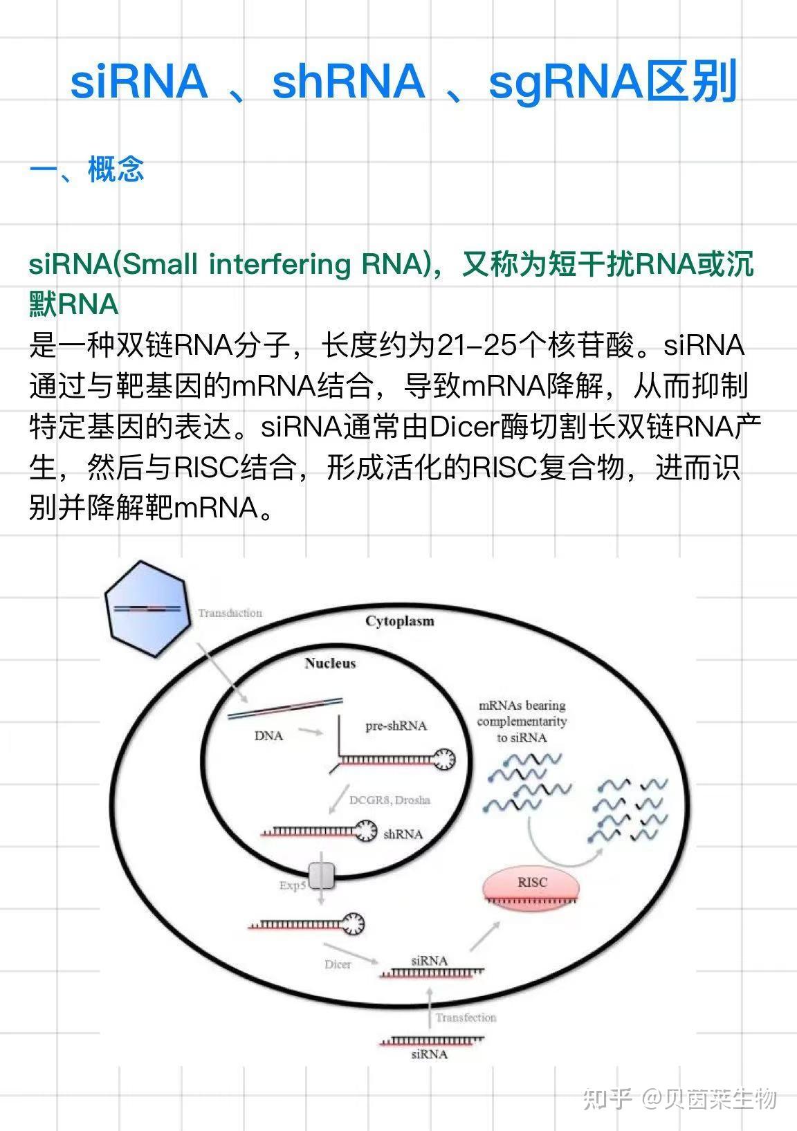 RNAi工具siRNA、shRNA和miRNA，怎么选？ - 知乎