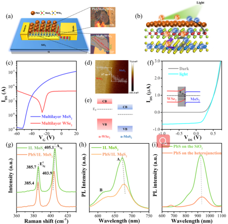 【二维材料】MoS2为什么一直这么火？总能发高水平论文！ - 知乎