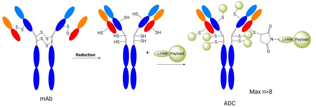深度分享丨抗体偶联药物（ADC）的DAR值测定策略与难点 - 知乎